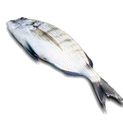 El lenguado y el sargo, a examen | El Correo